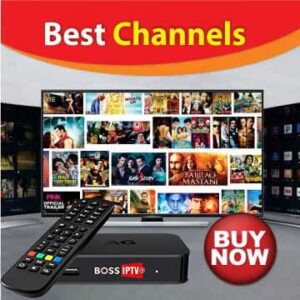 Boss the Indian IPTV Subscription and Indian TV Packages – Buy cheap subscription plans and IPTV ...